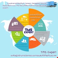  TMS Expert